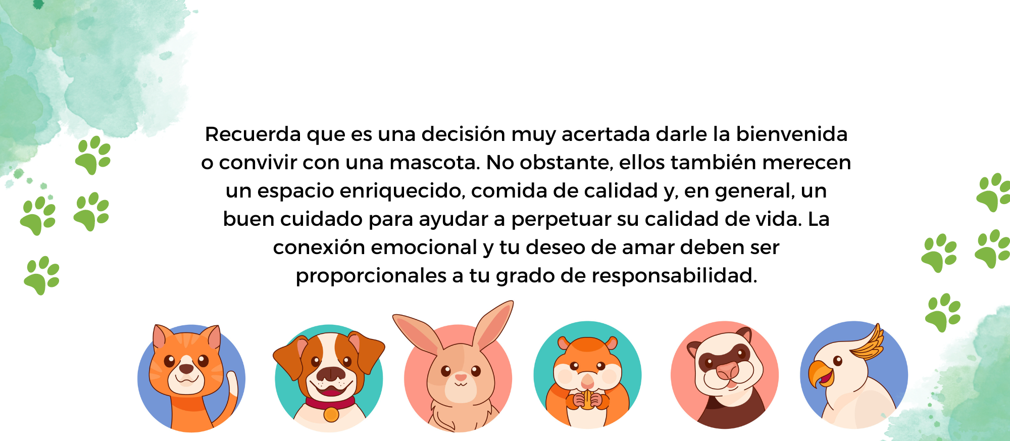 Los beneficios mágicos de tener una mascota | Grupo Recordar
